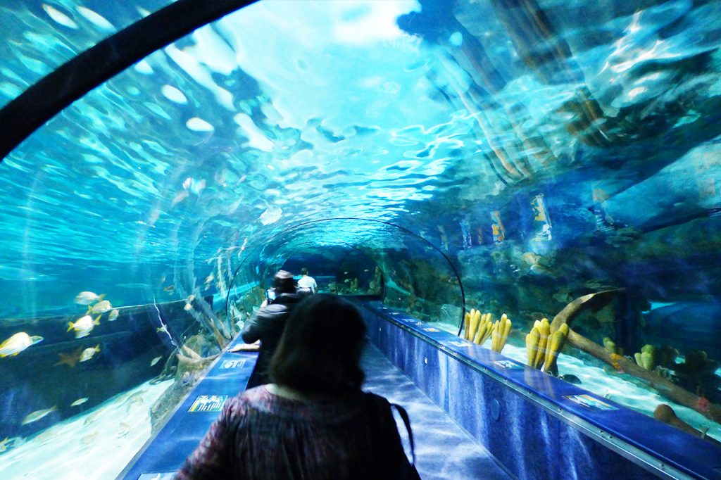 Home - Symtech Innovations Ltd